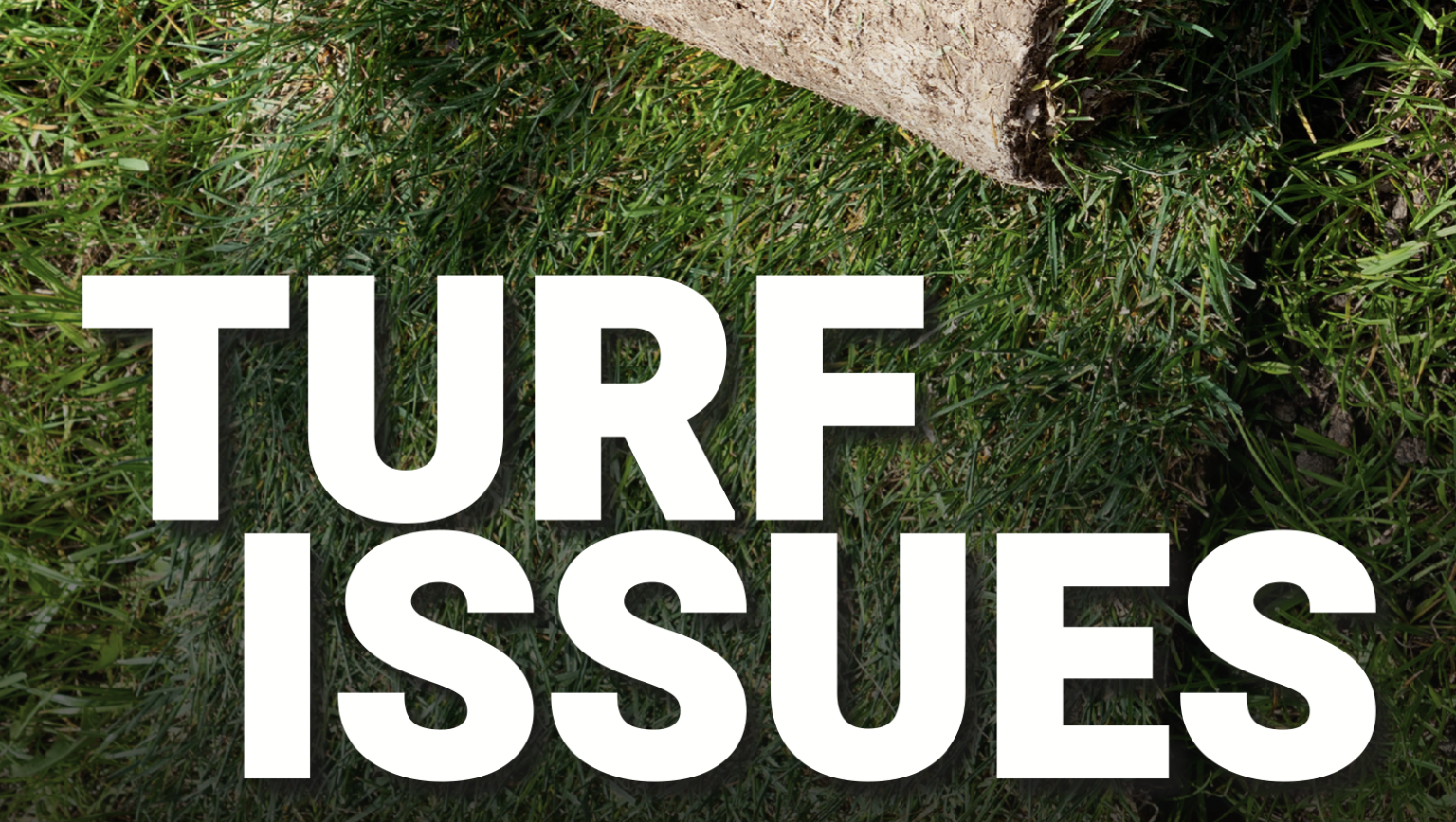 Your Free Guide to Tackling Common Lawn Issues