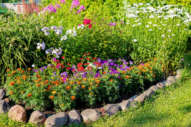 How to Plan and Organize Your Landscape